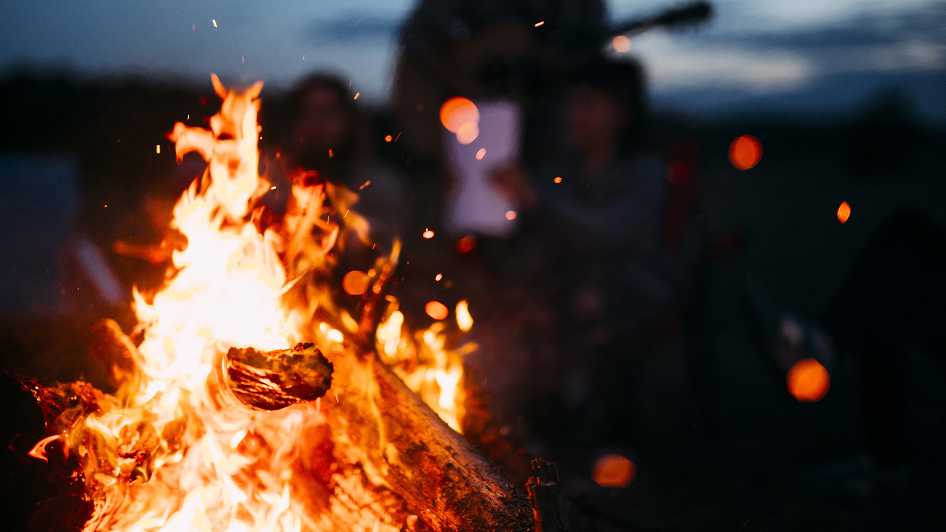 How to Survive Bonfire Night - RMG Scotland : RMG Scotland
